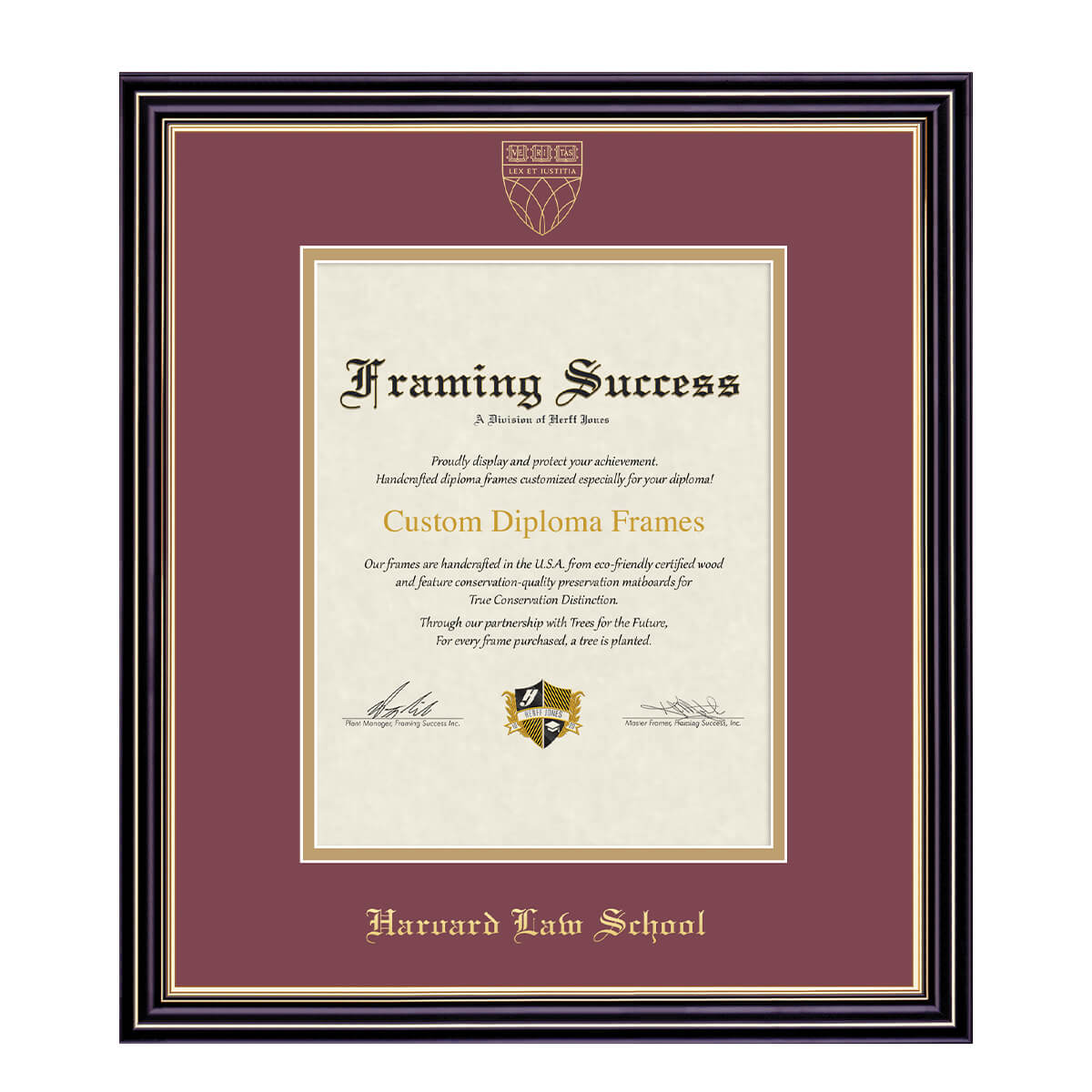 Harvard Diploma Frames – Officially Licensed – The COOP