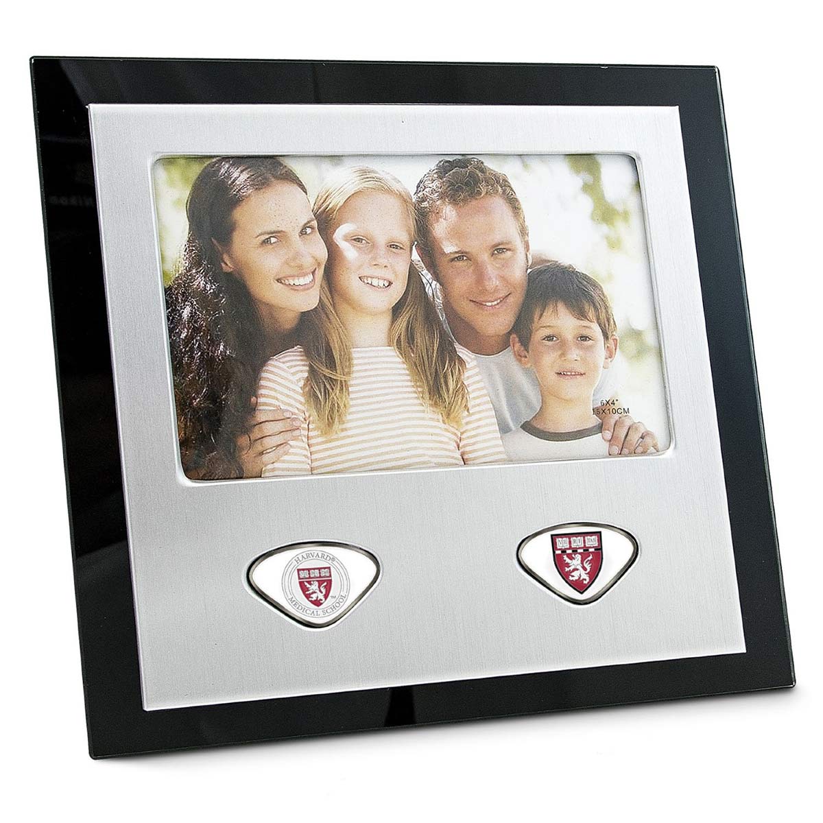 Harvard Medical School Picture Frame with Custom Medallions – The COOP