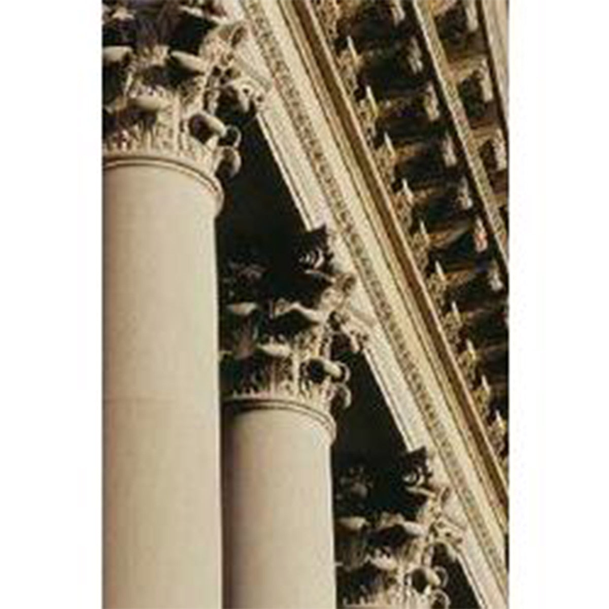 Widener Library Harvard – The COOP