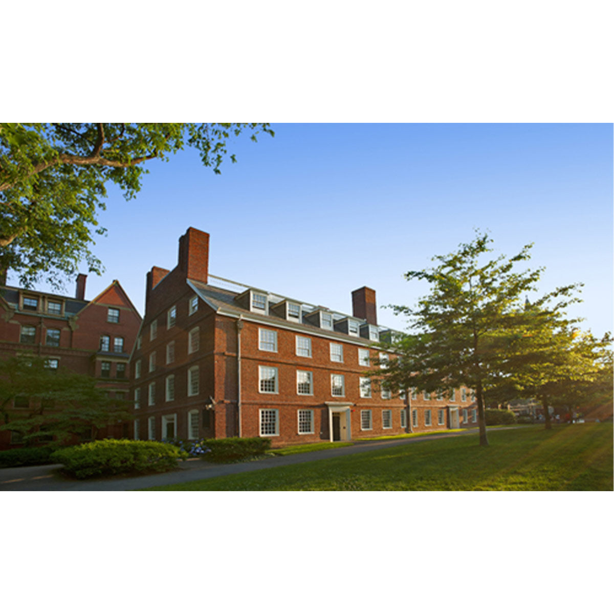 Massachusetts Hall Harvard #6071 – The COOP