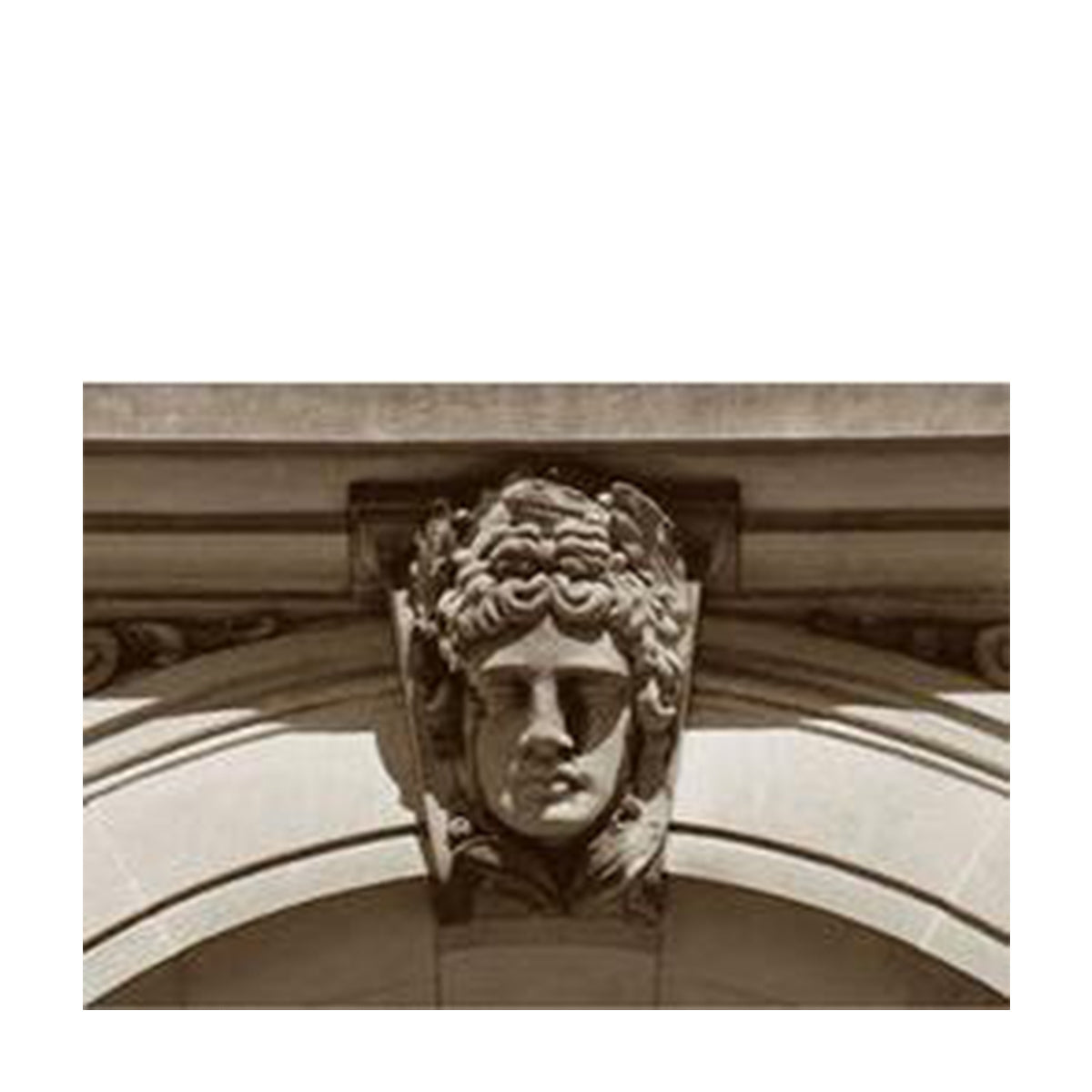 Busch Reisinger Museum Harvard – The COOP